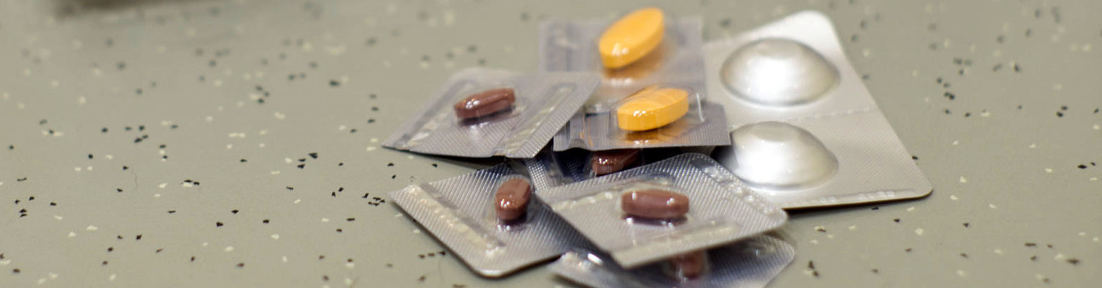 Medical instructions for sick dogs and cats